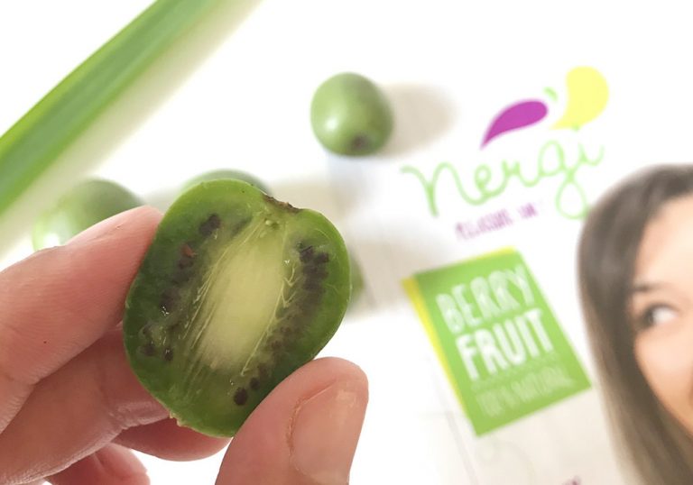 Nergi Berries – the Vitamin C-packed Super Fruit - Healthy Living London